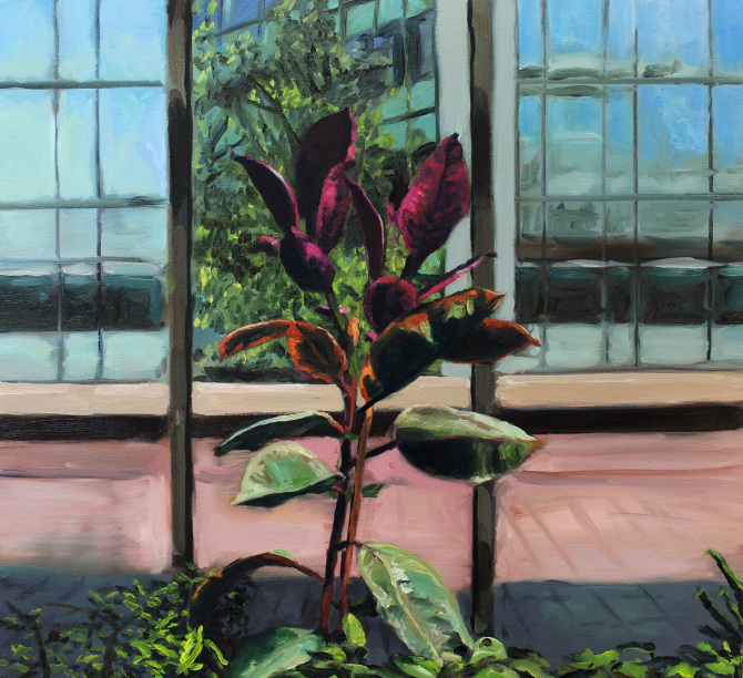 Thomas Cameron Artist